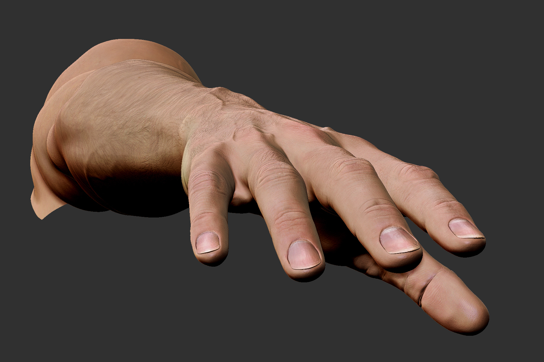 3D realistic male arm hand model - TurboSquid 1468803