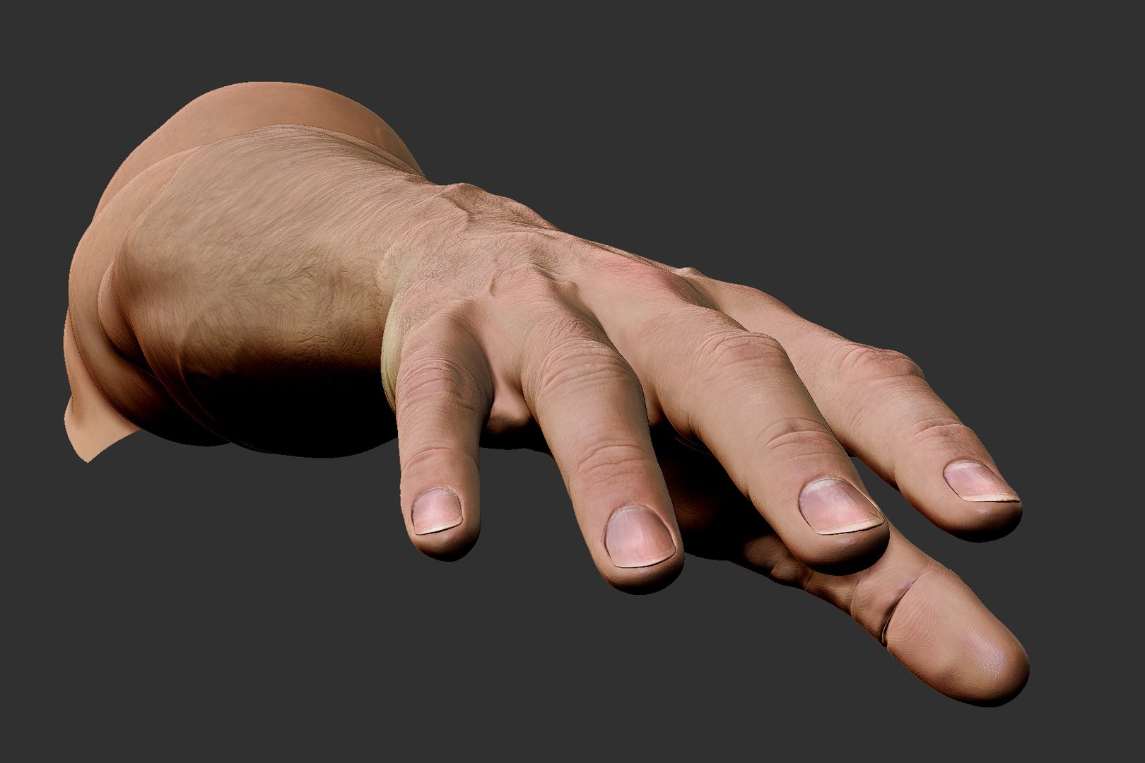 3D Realistic Male Arm Hand Model - TurboSquid 1468803