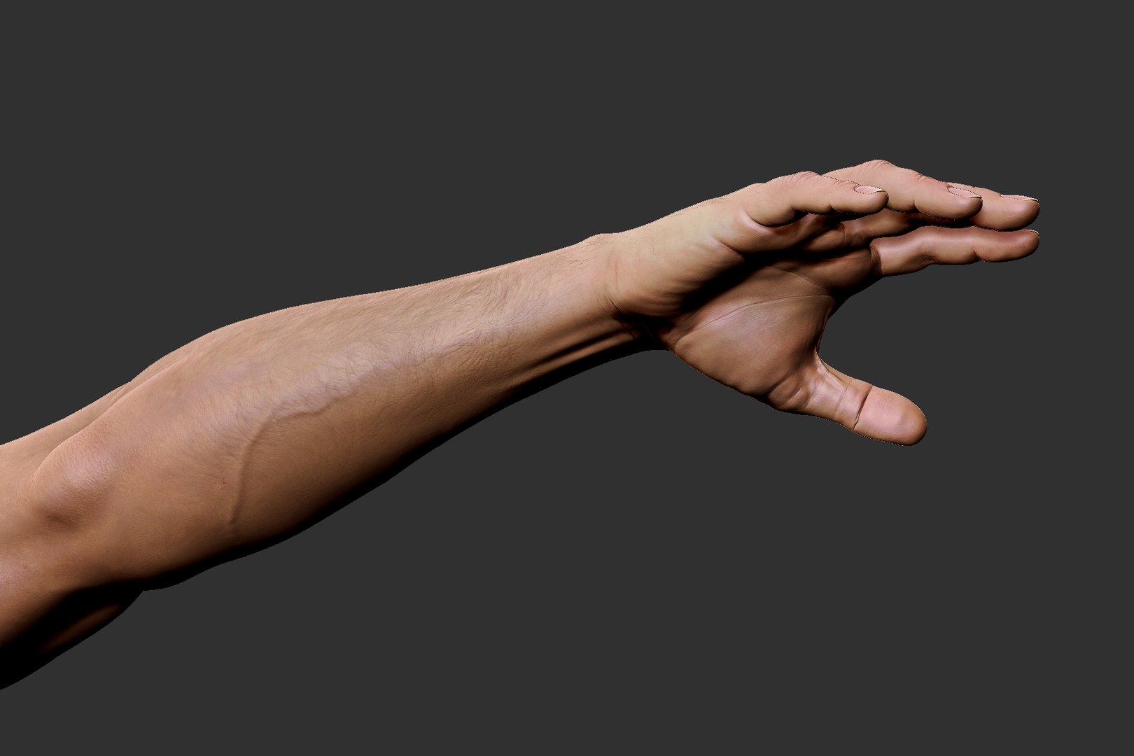 3D Realistic Male Arm Hand Model - TurboSquid 1468803