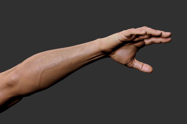 3D realistic male arm hand model - TurboSquid 1468803