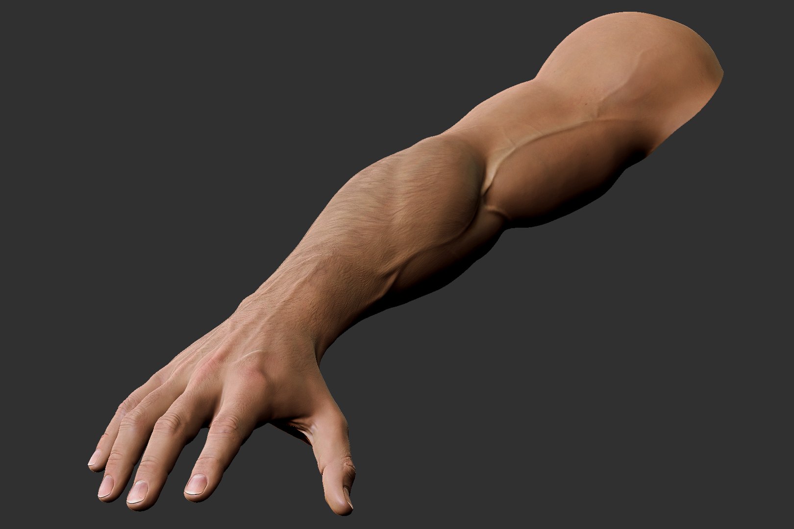 3D Realistic Male Arm Hand Model - TurboSquid 1468803