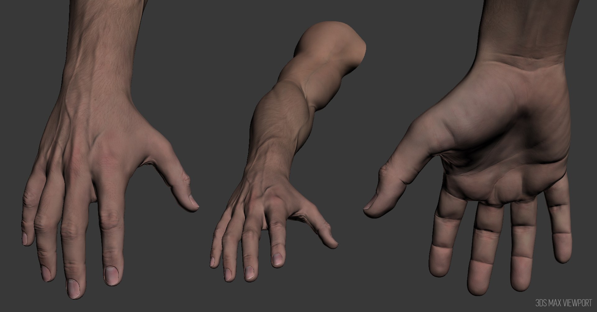 3D realistic male arm hand model - TurboSquid 1468803