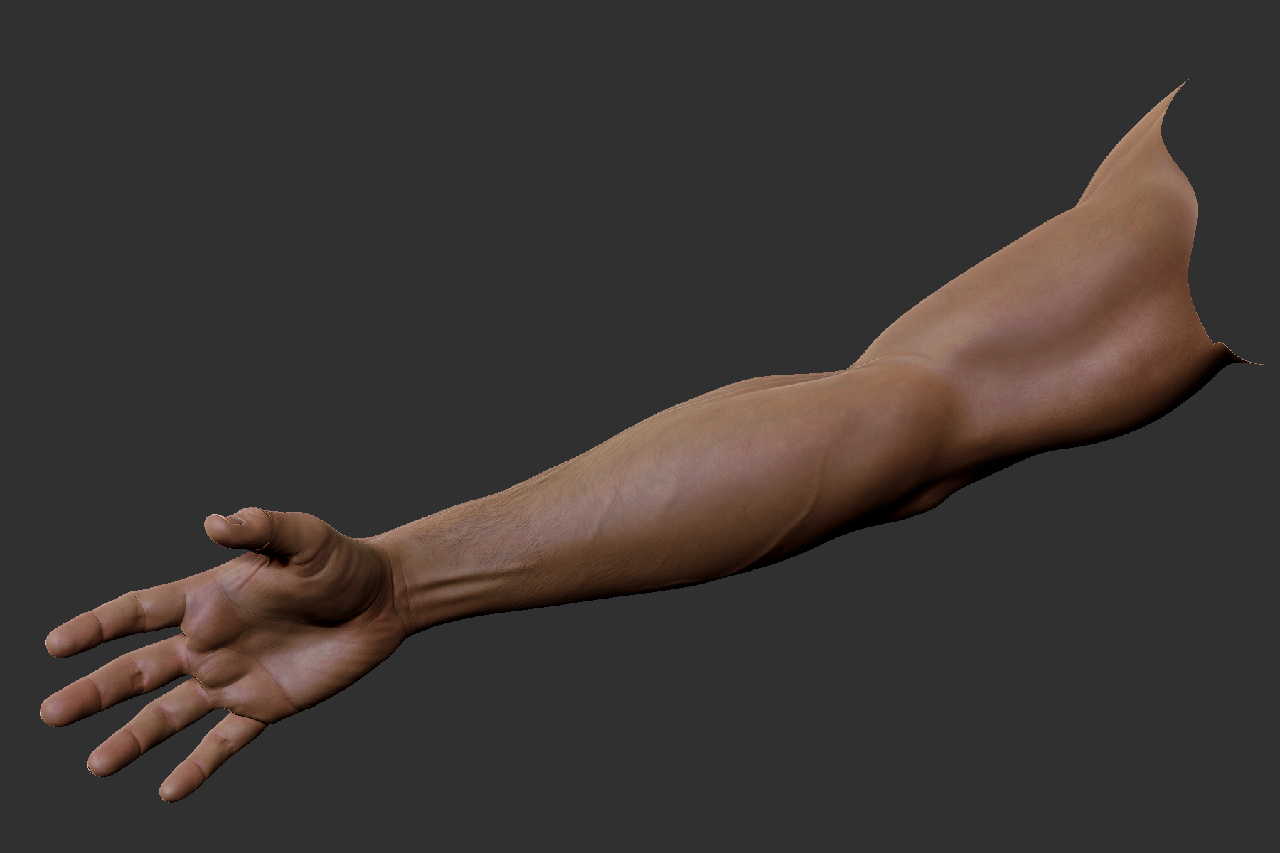 3D realistic male arm hand model - TurboSquid 1468803