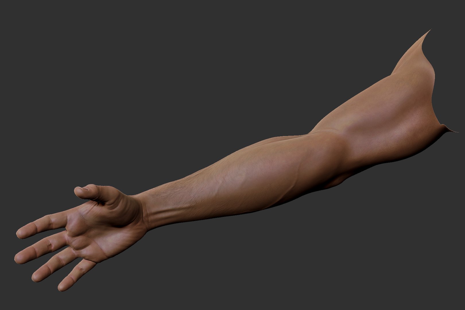 3D realistic male arm hand model - TurboSquid 1468803