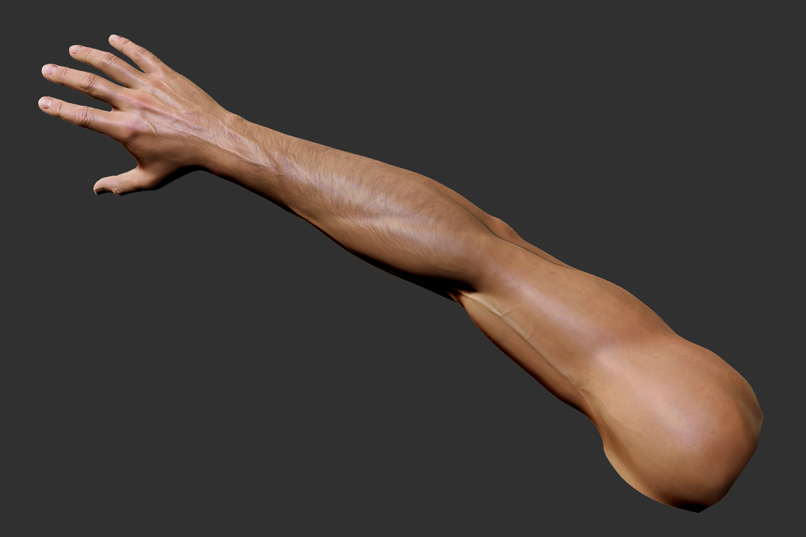 3D realistic male arm hand model - TurboSquid 1468803