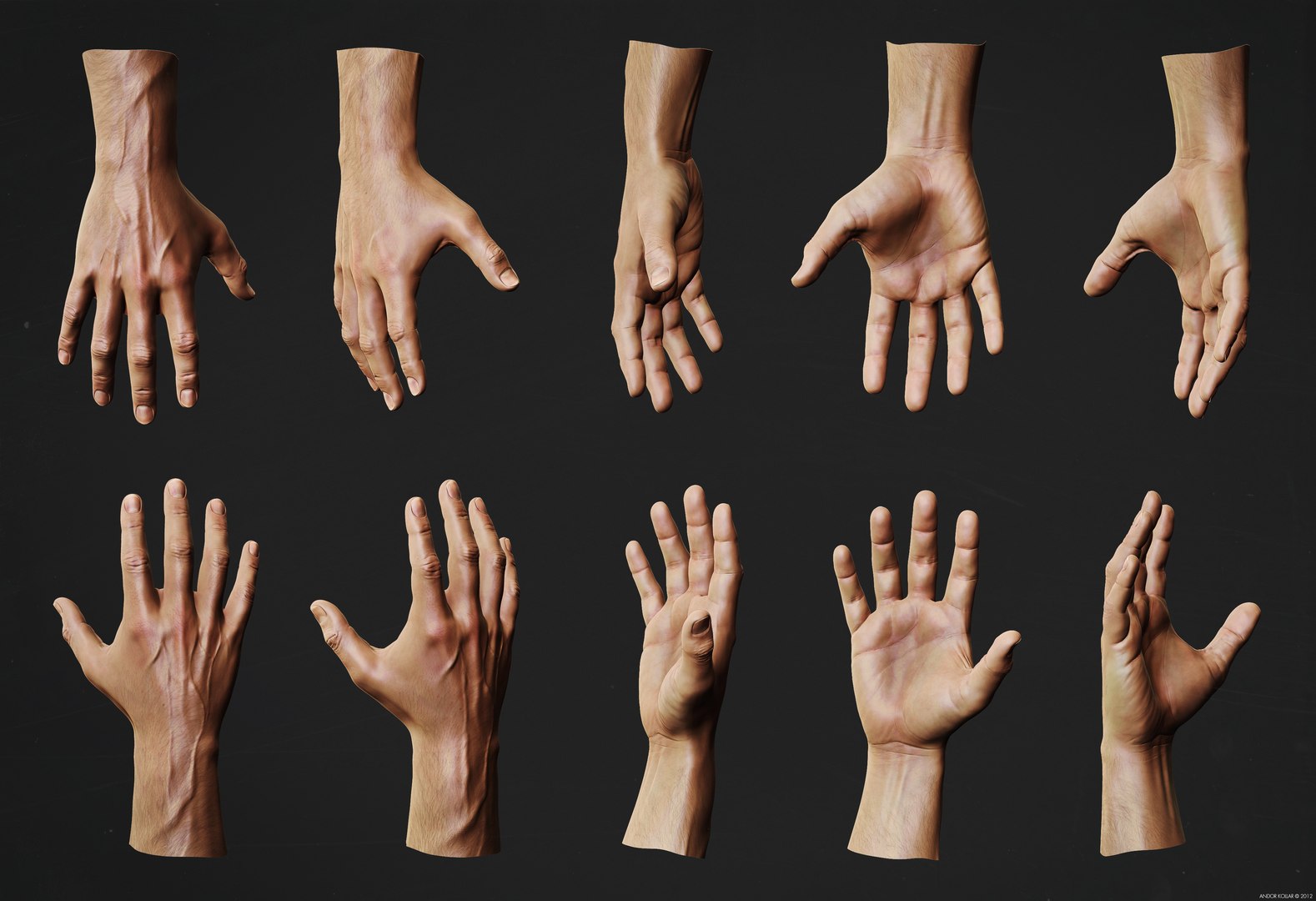 3D realistic male arm hand model - TurboSquid 1468803