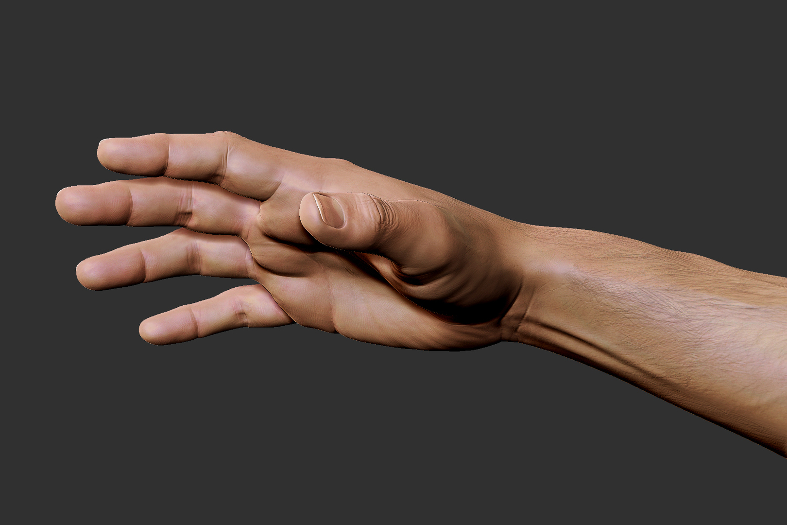 3D realistic male arm hand model - TurboSquid 1468803