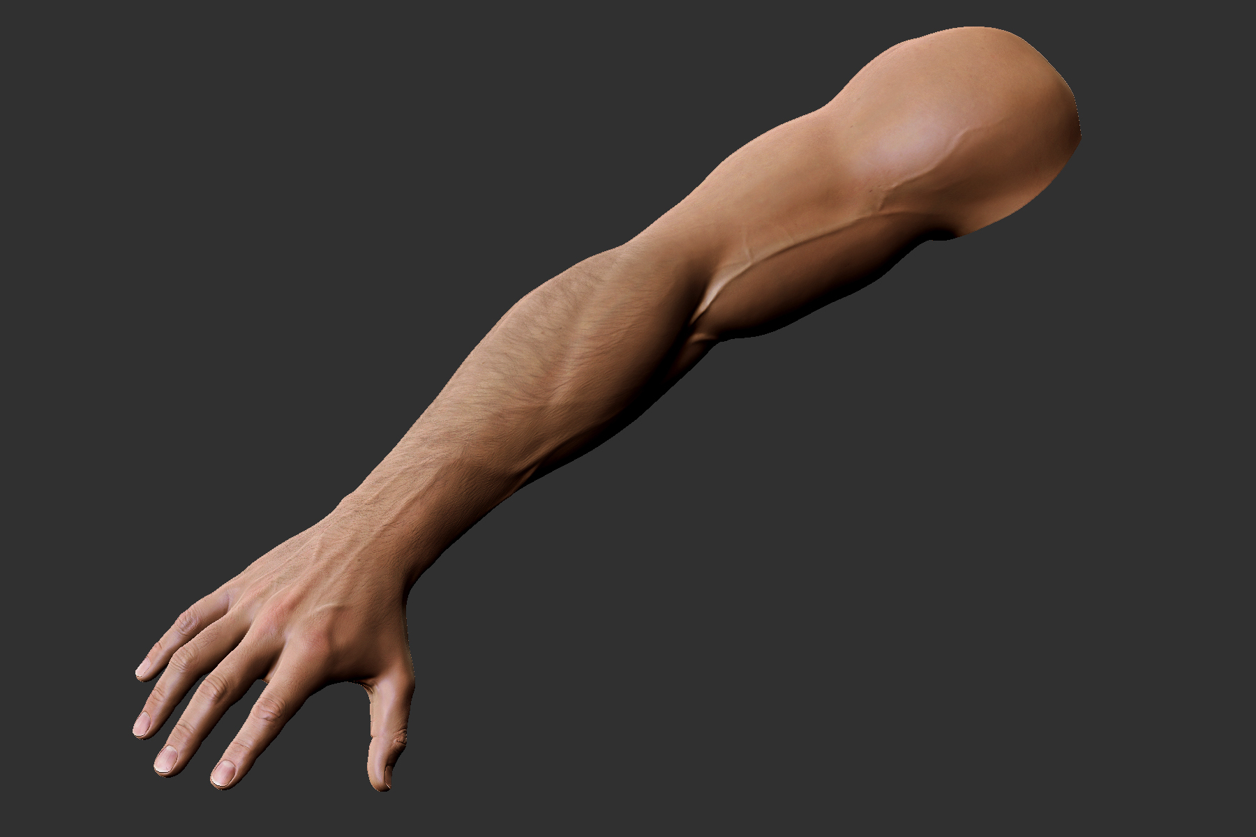 3D realistic male arm hand model - TurboSquid 1468803