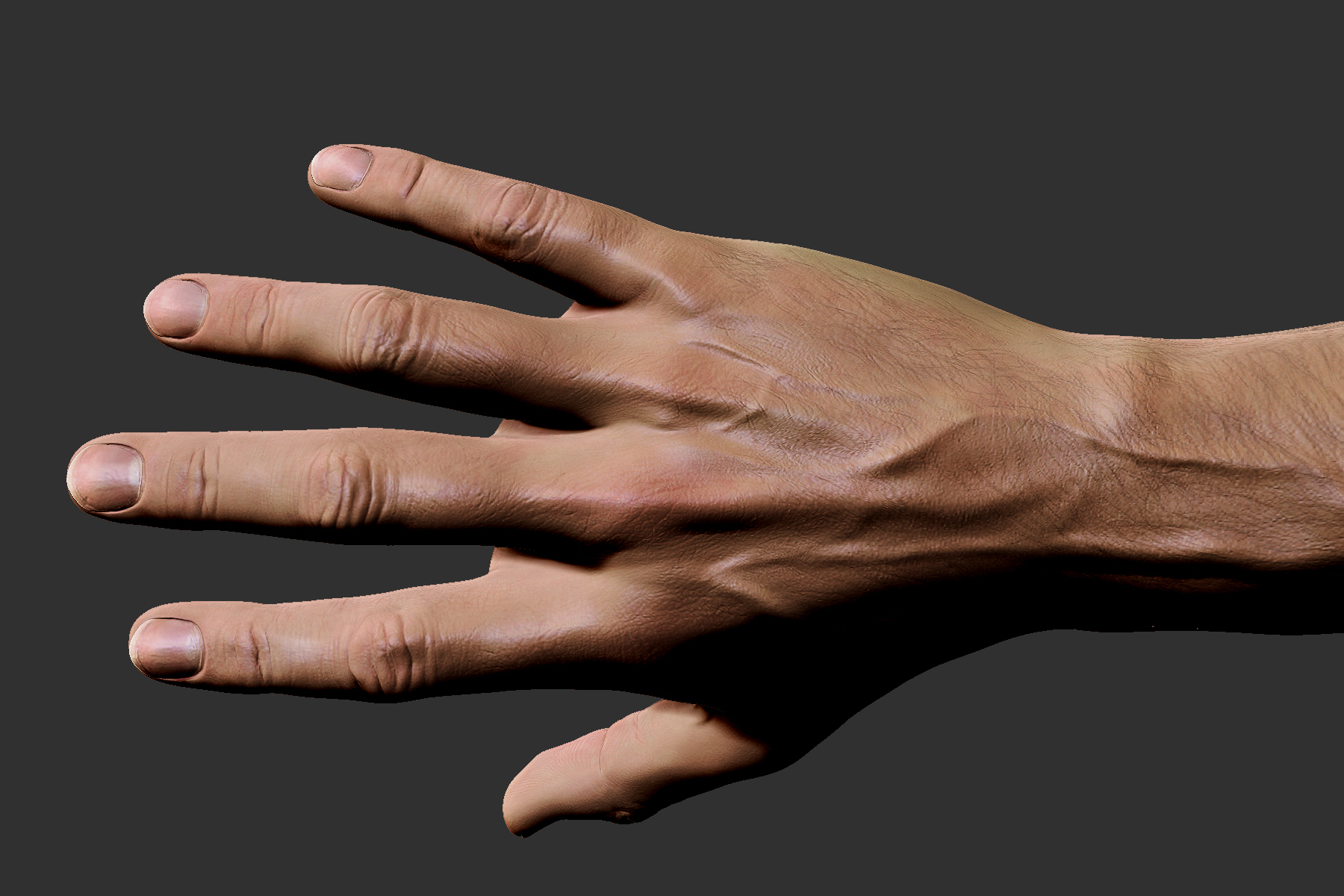 3D realistic male arm hand model - TurboSquid 1468803