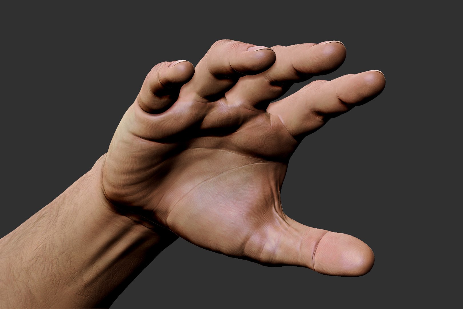 3D Realistic Male Arm Hand Model - TurboSquid 1468803
