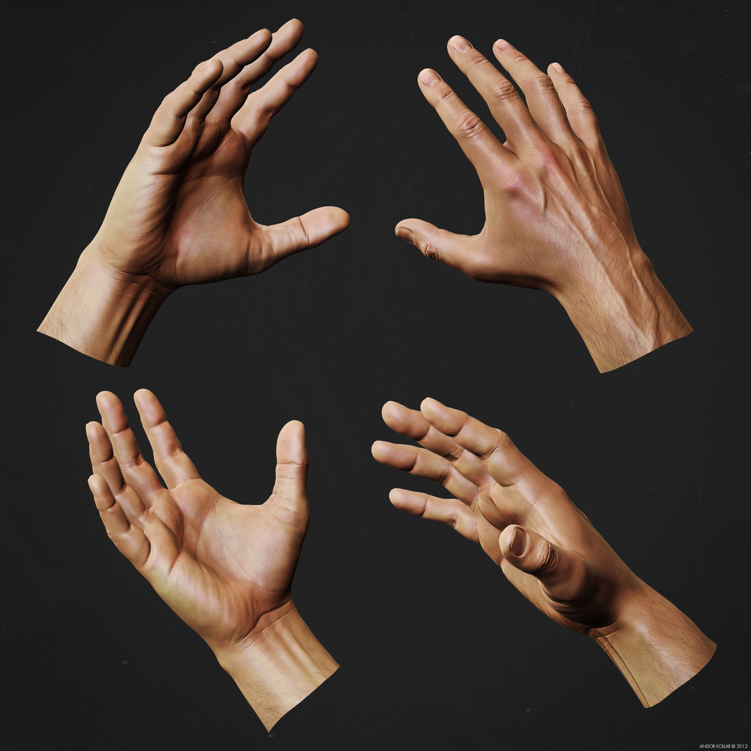 3D realistic male arm hand model - TurboSquid 1468803