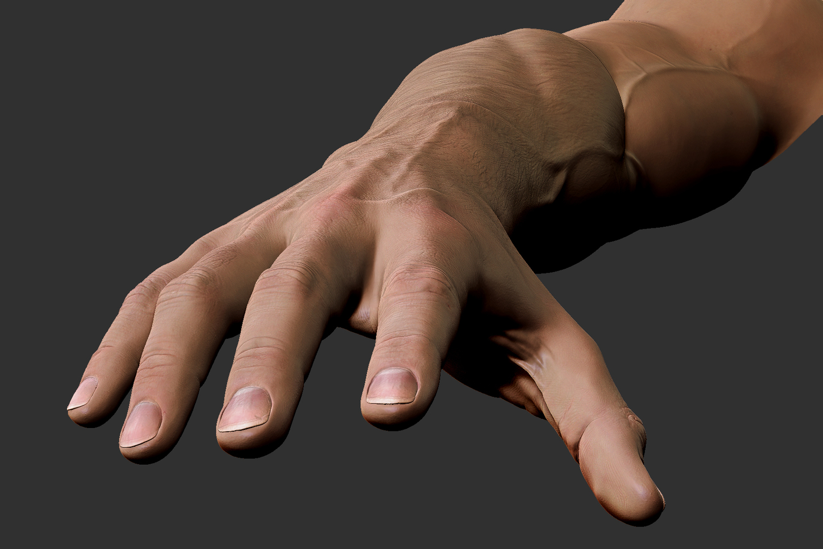 3D realistic male arm hand model - TurboSquid 1468803