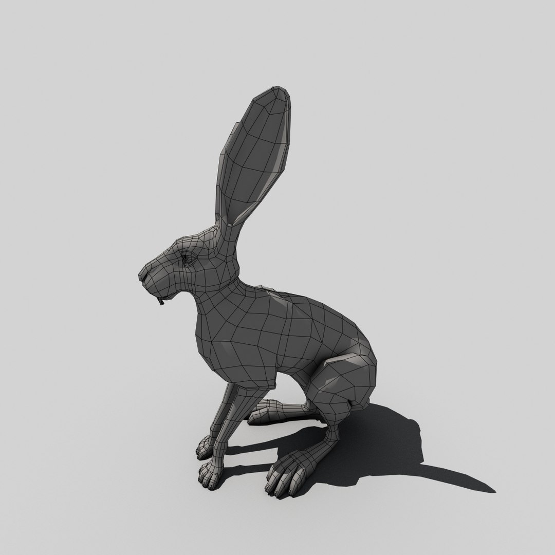 3d Rabbit Model
