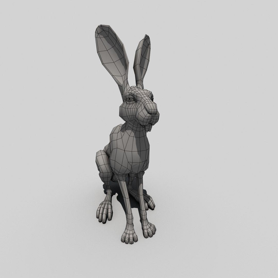 3d Rabbit Model