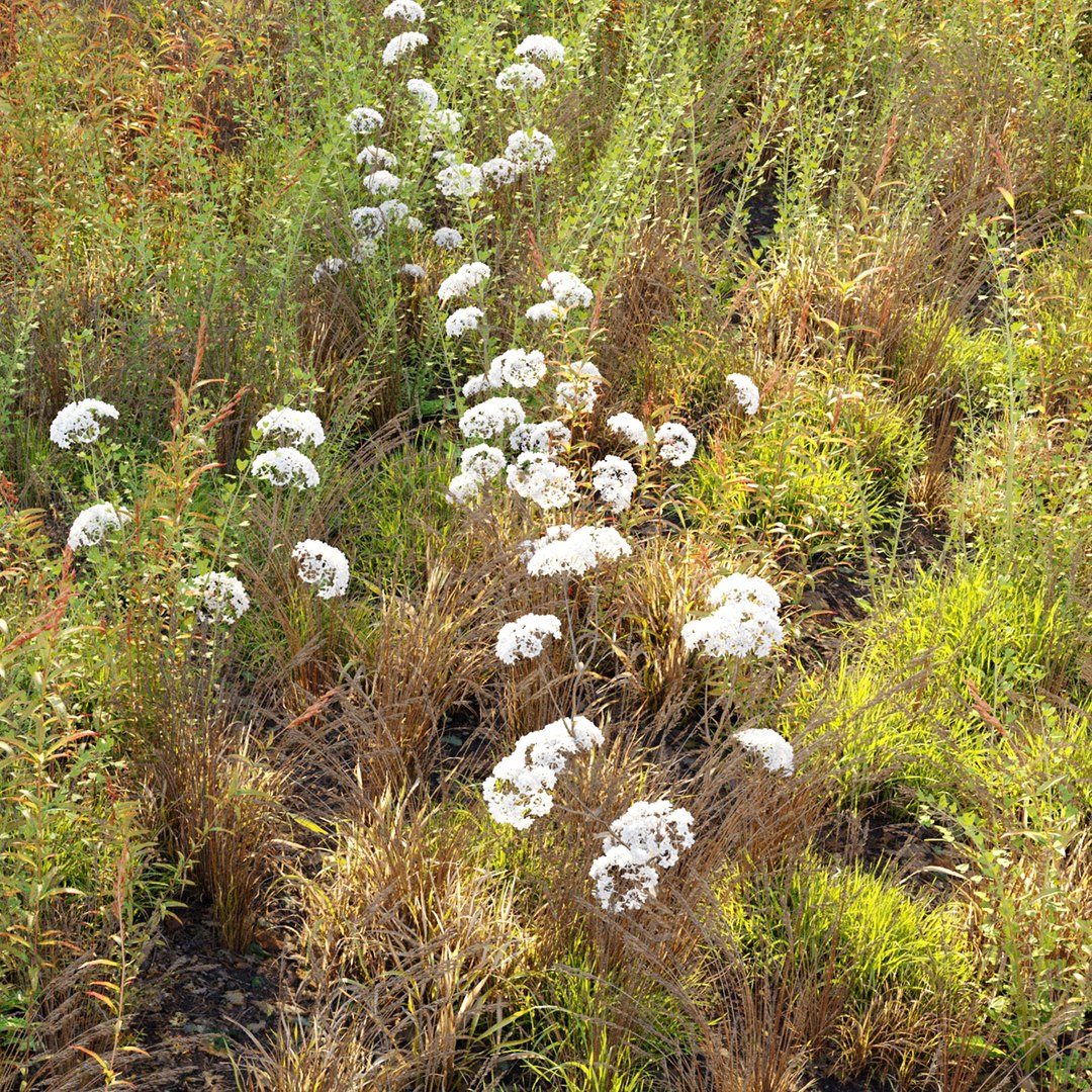 3D Meadow 10 Model - TurboSquid 1933536