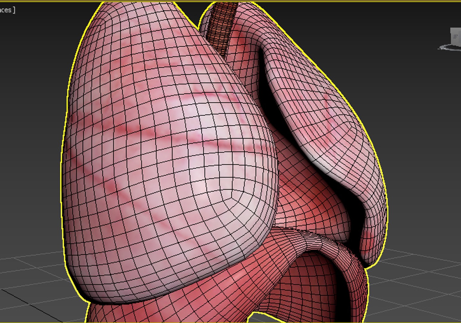 Lungs 3D Model - TurboSquid 1250344
