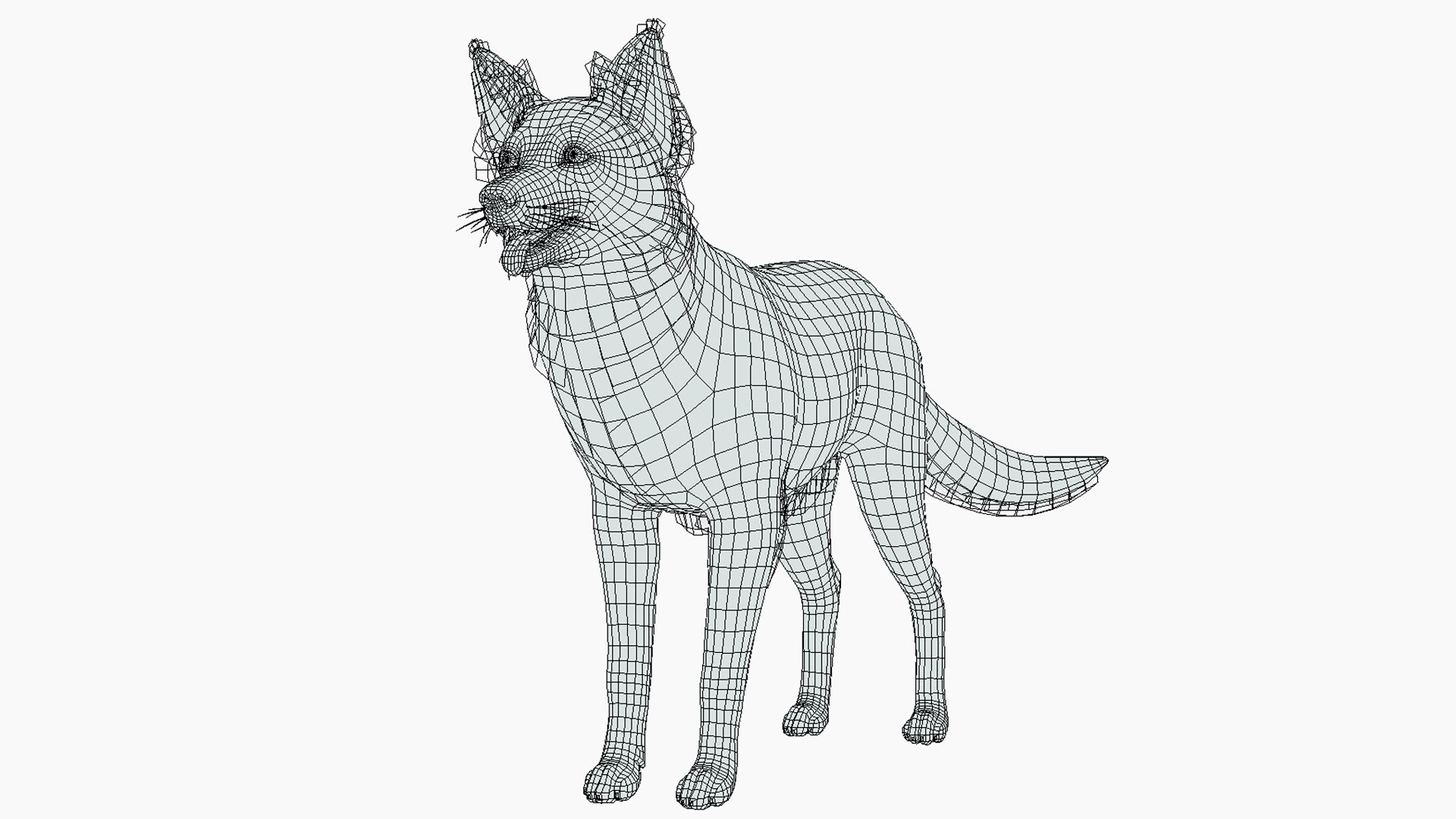 Dog - Border Collie 2 3D Model - TurboSquid 2060568