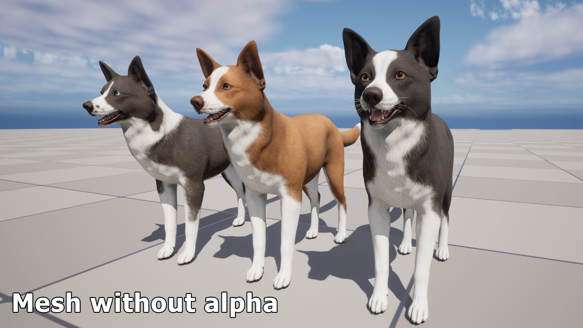 Dog - Border Collie 2 3D Model - TurboSquid 2060568