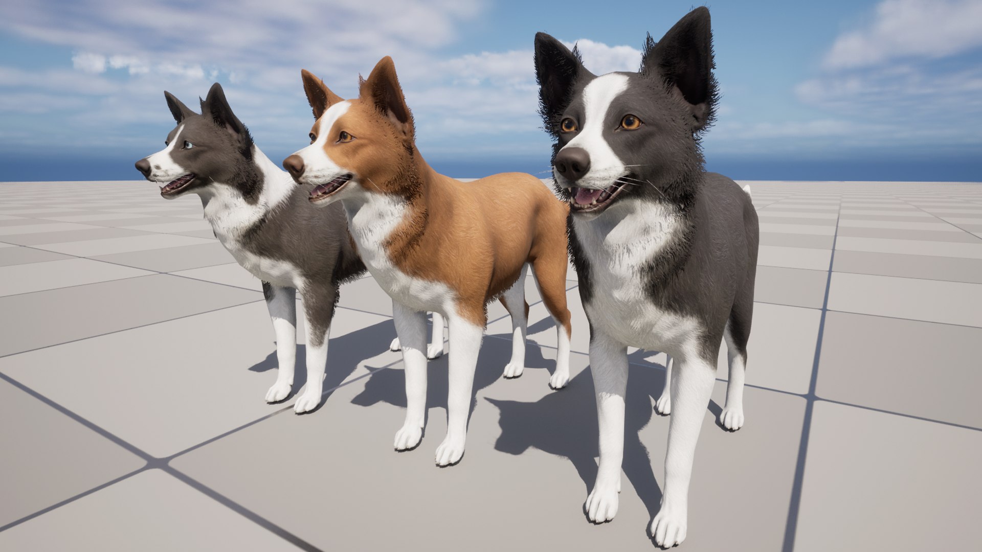 Dog - Border Collie 2 3D Model - TurboSquid 2060568