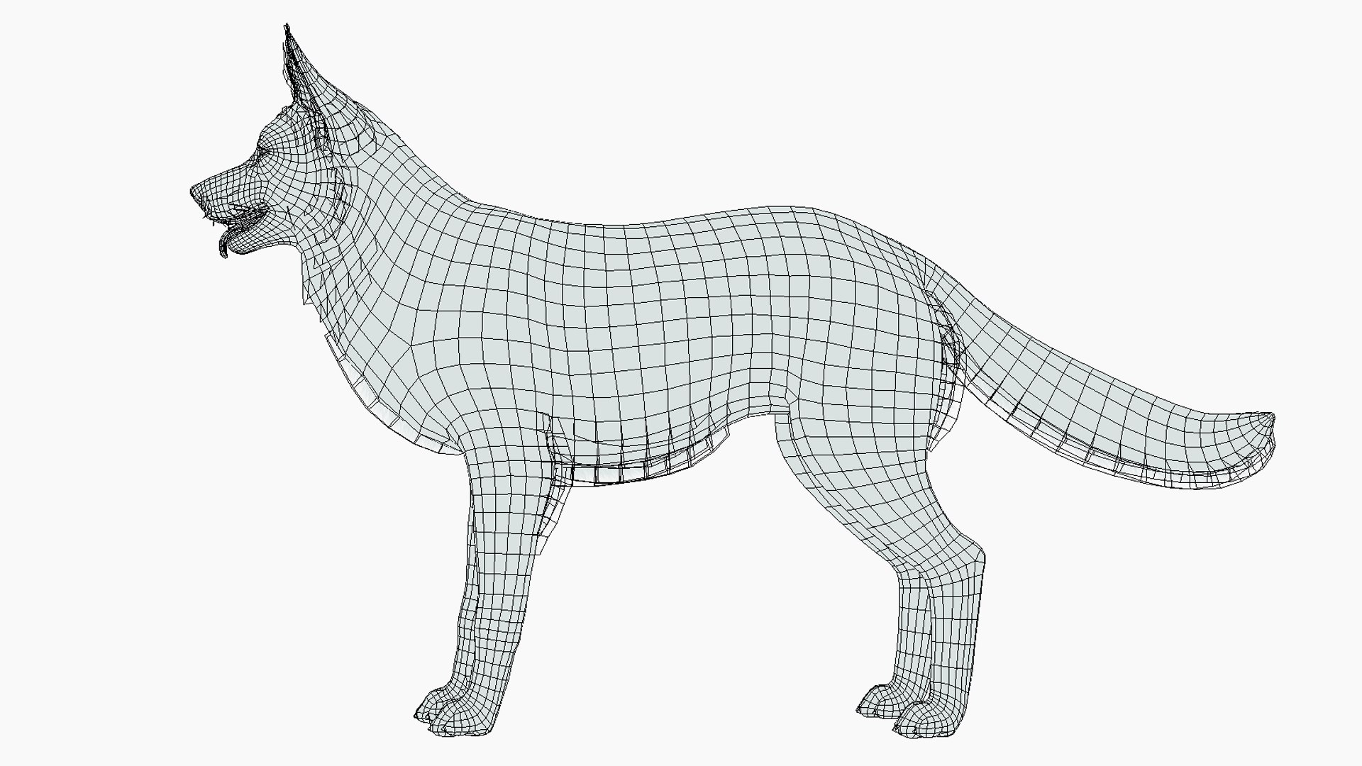 Dog - Border Collie 2 3D Model - TurboSquid 2060568