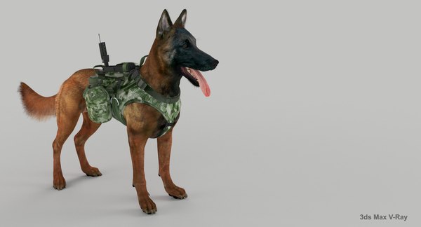 3d model military shepherd dog 1