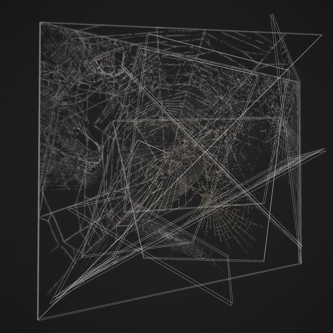 Spider Webs model - TurboSquid 1823220