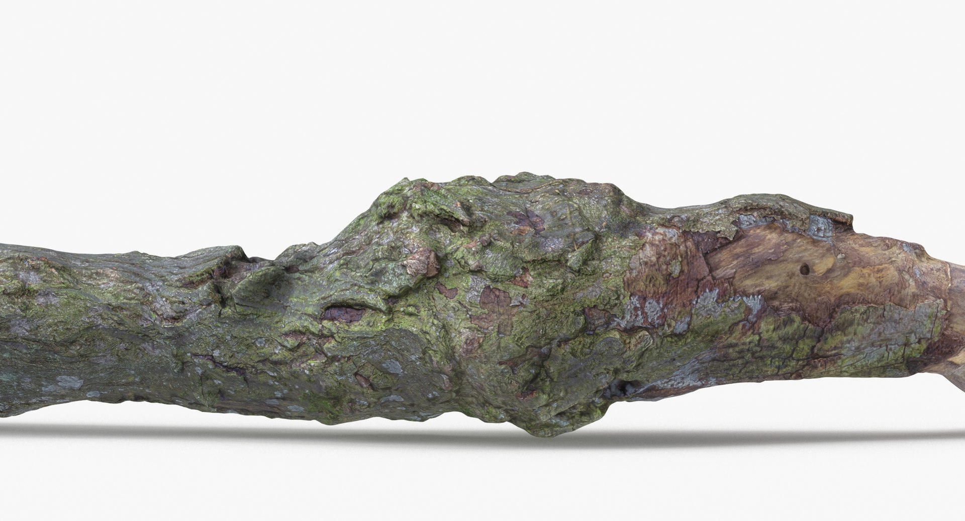 3D Fallen Branch 01 Model - TurboSquid 1869689