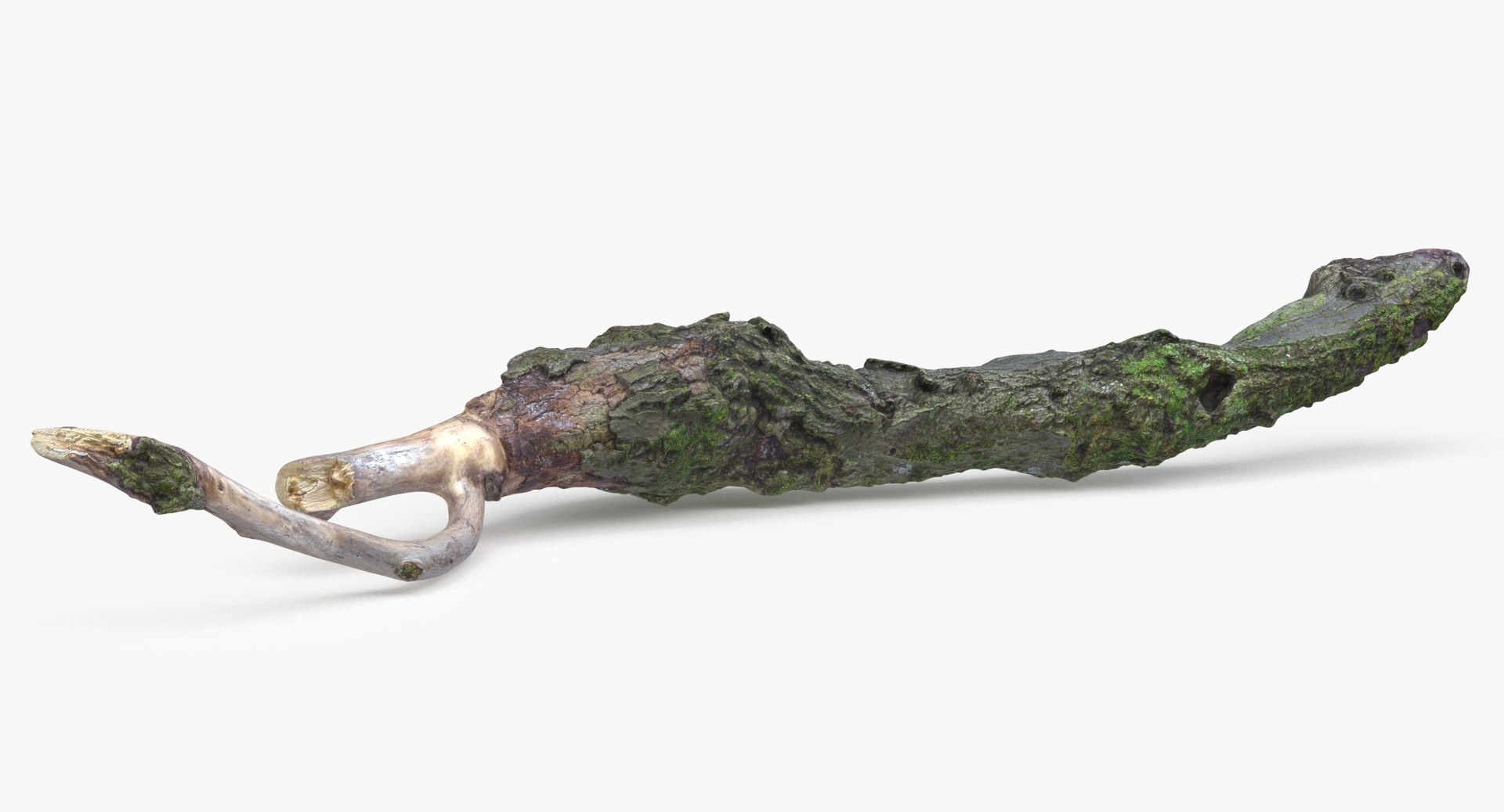 3D Fallen Branch 01 Model - TurboSquid 1869689