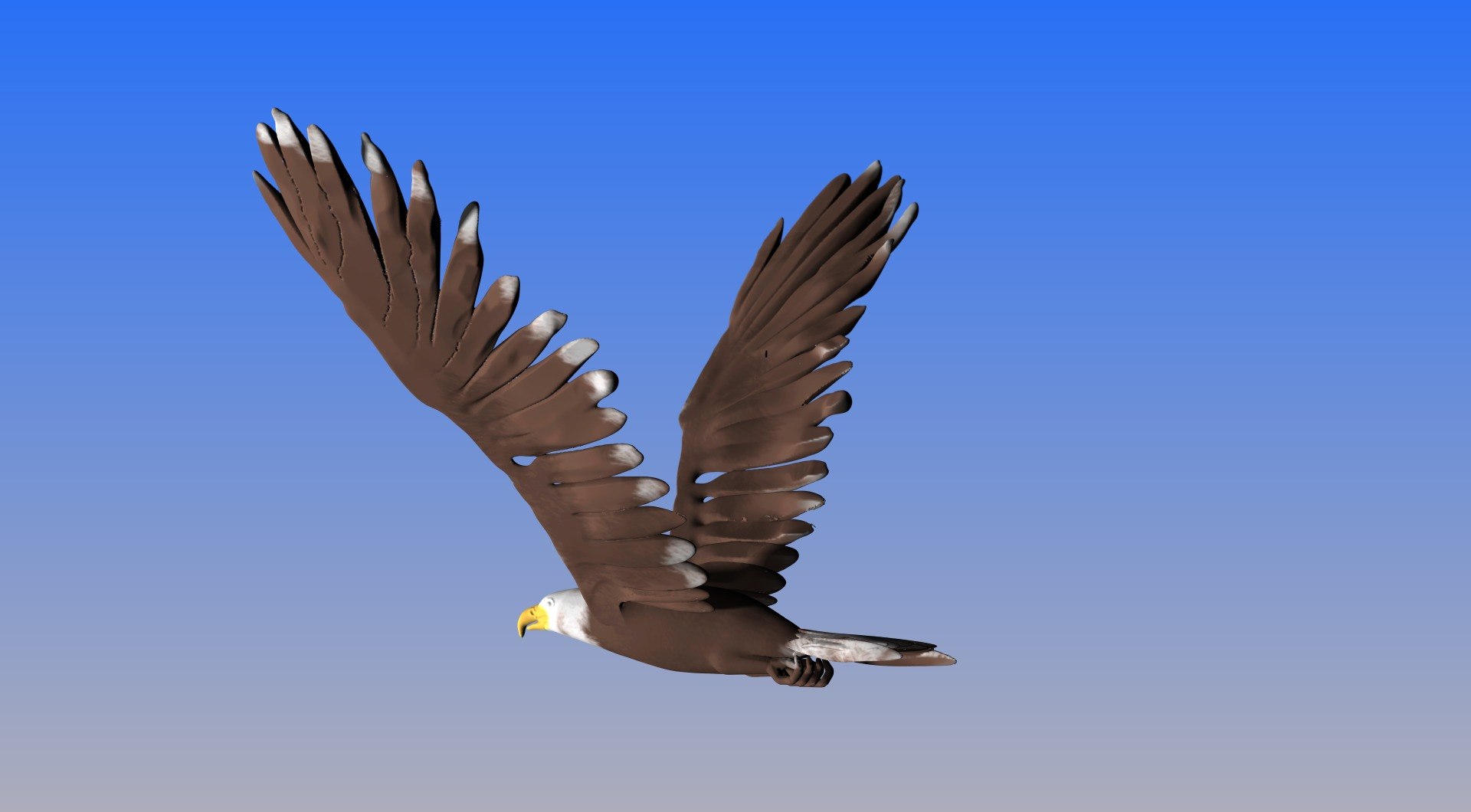 Bald Eagle Obj