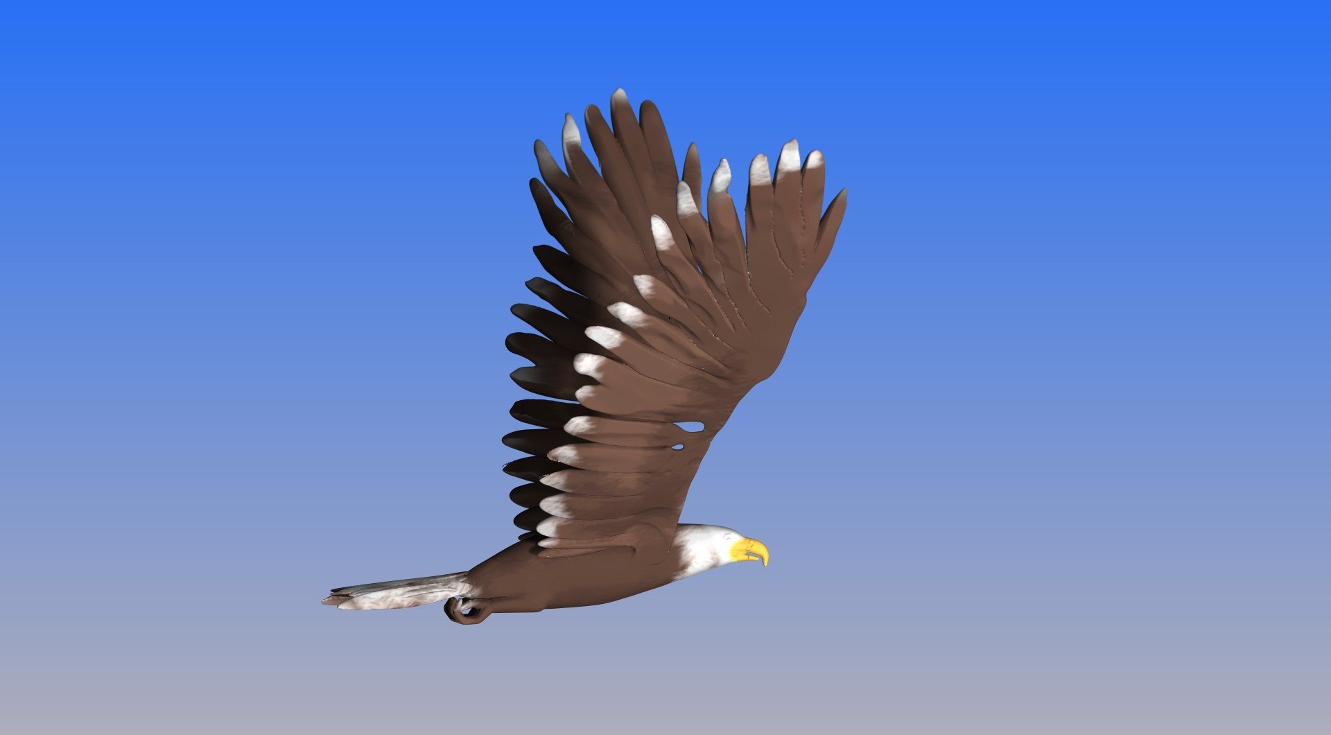 Bald Eagle Obj