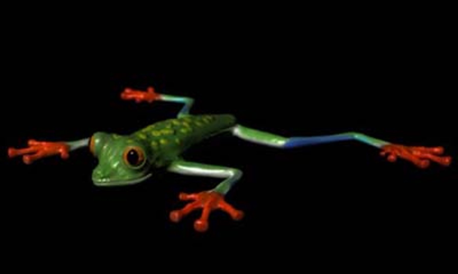 Tree Frog 3d Model