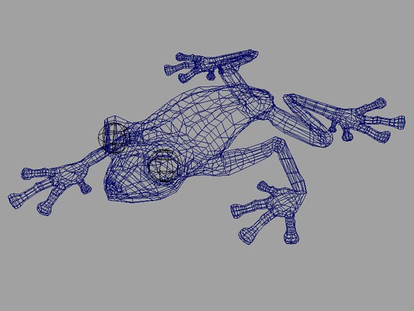 tree frog 3d model