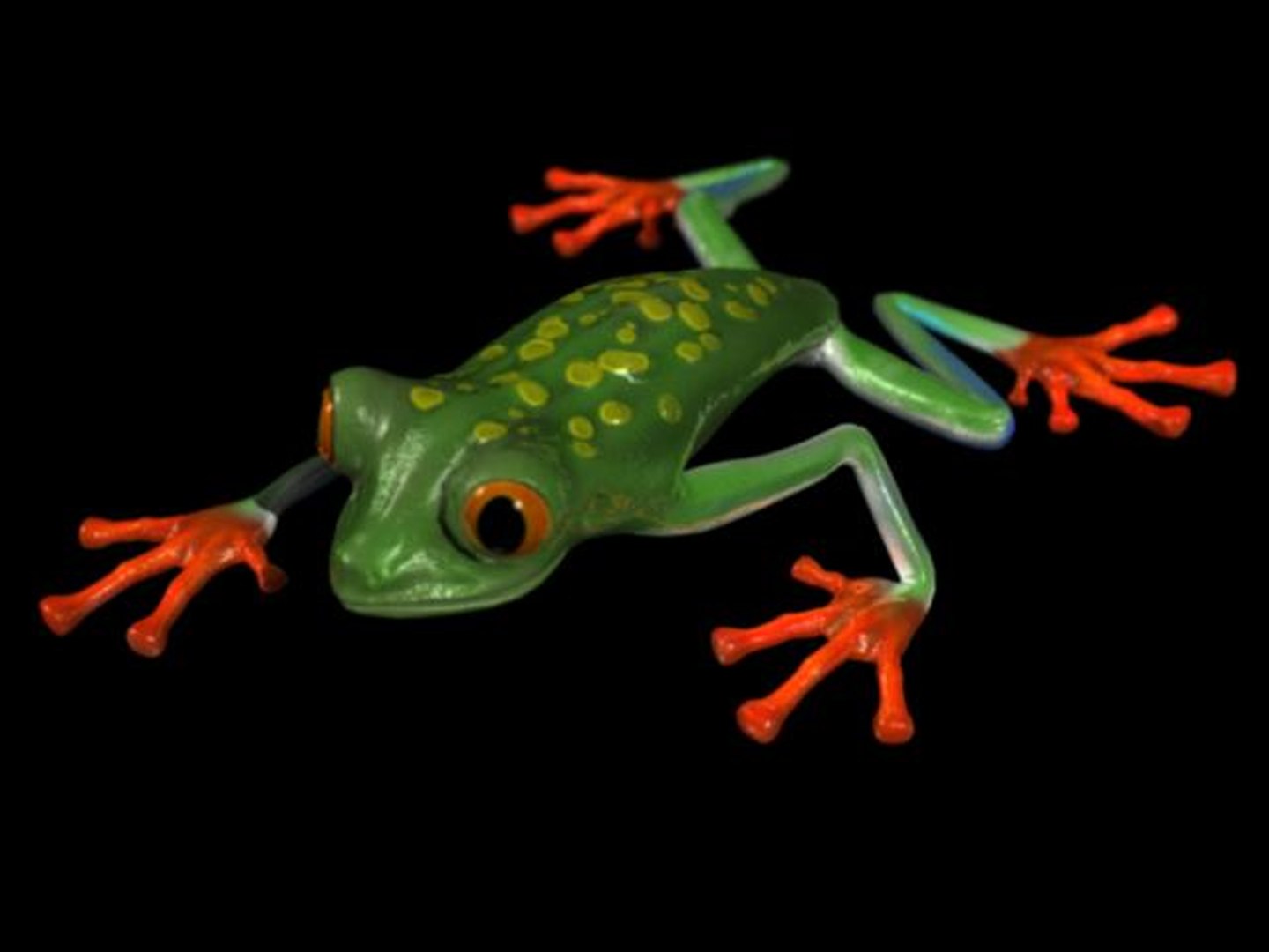 Tree Frog 3d Model