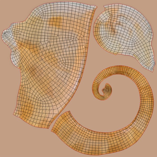 Shell Collection 3D model - TurboSquid 1738604