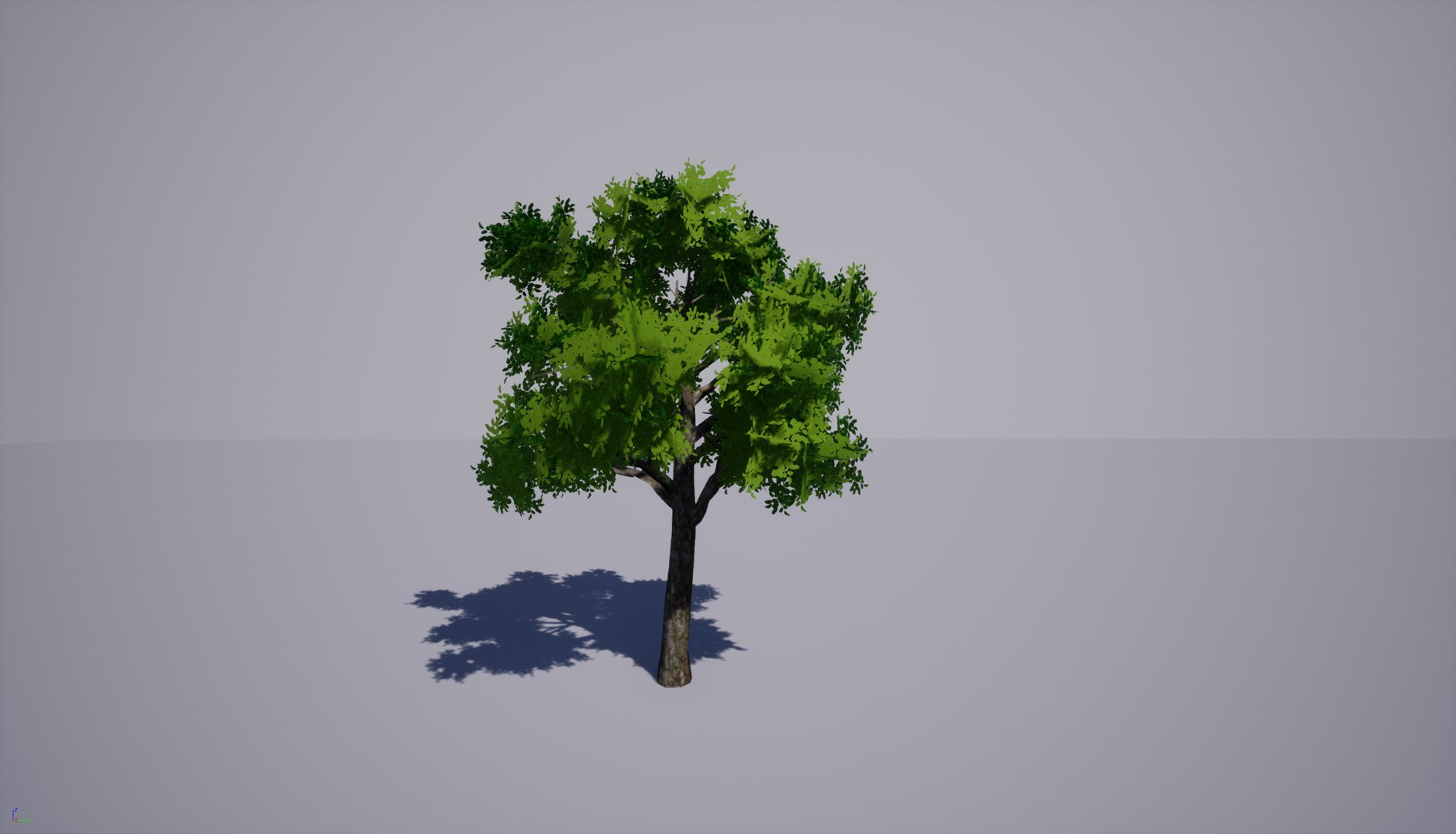 3D Rubbertree - TurboSquid 1806675