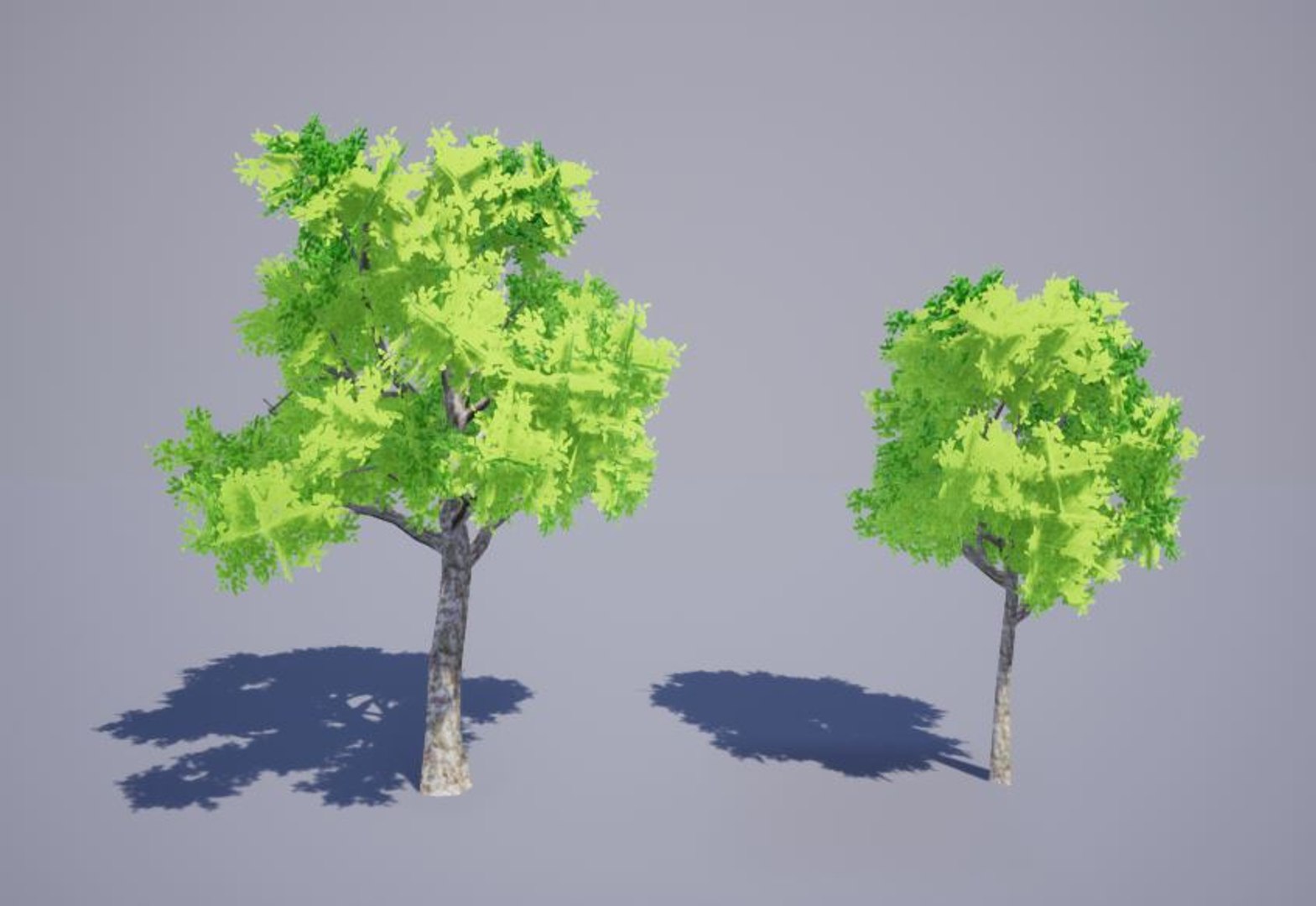 3D Rubbertree - TurboSquid 1806675