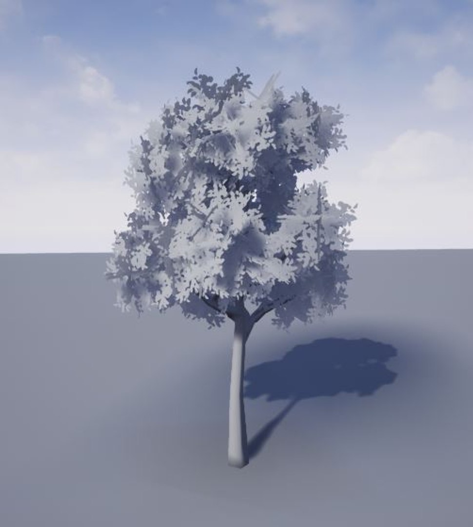 3D Rubbertree - TurboSquid 1806675