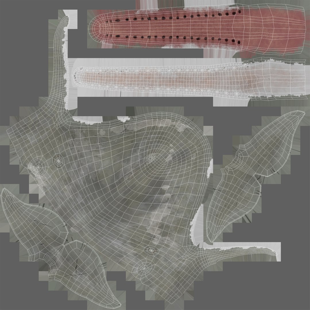 3d sperm whale model