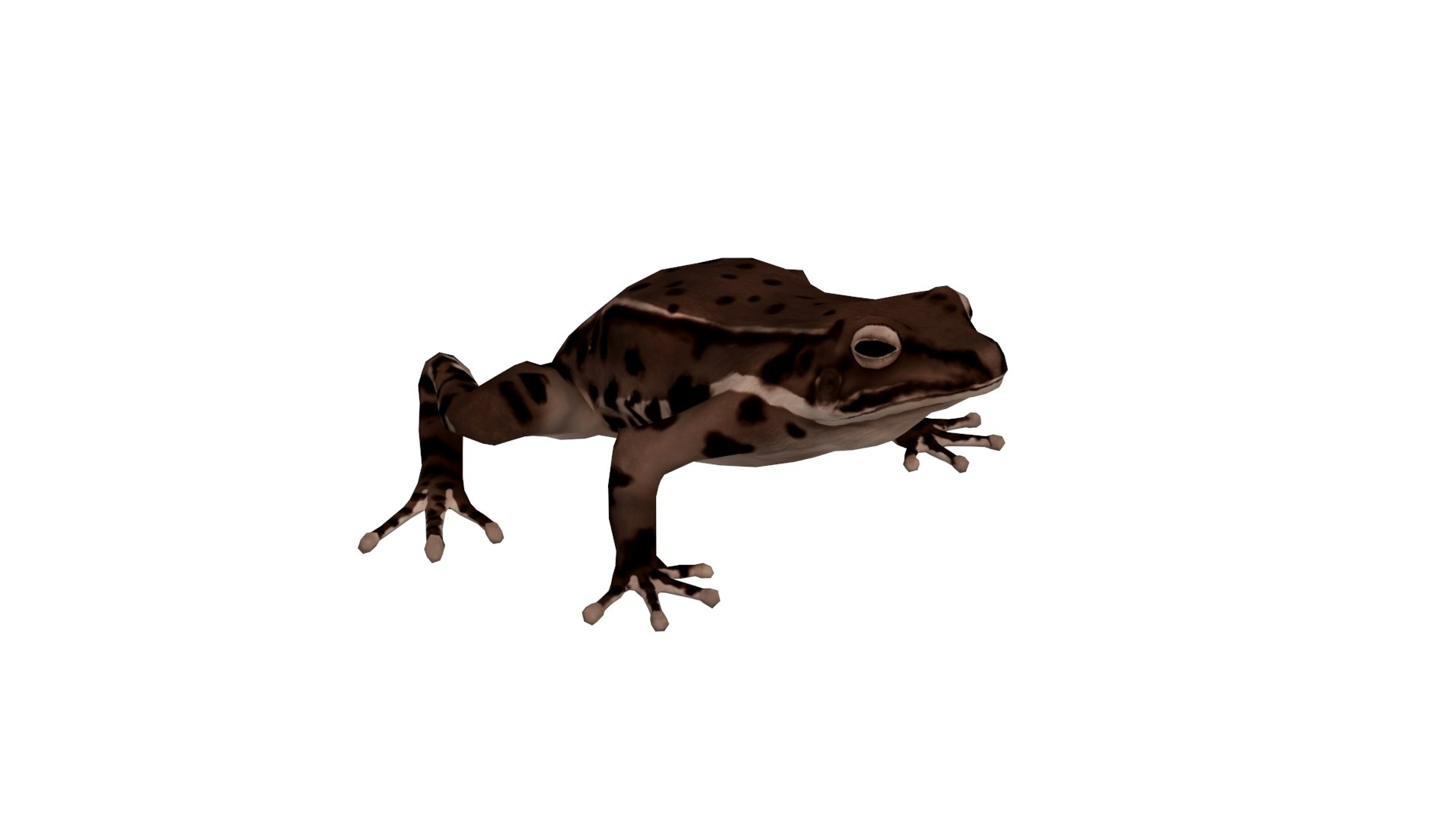 3D frog - TurboSquid 2176018