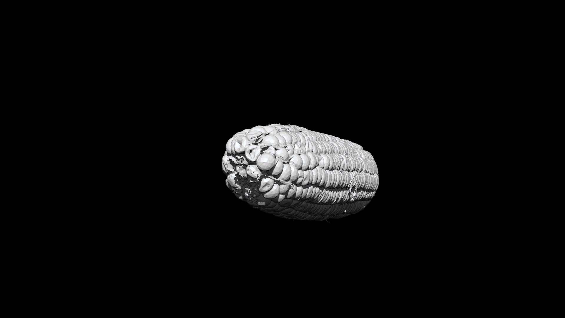 Corn 3D CT scan model decimate 8 percent 3D model - TurboSquid 1945196