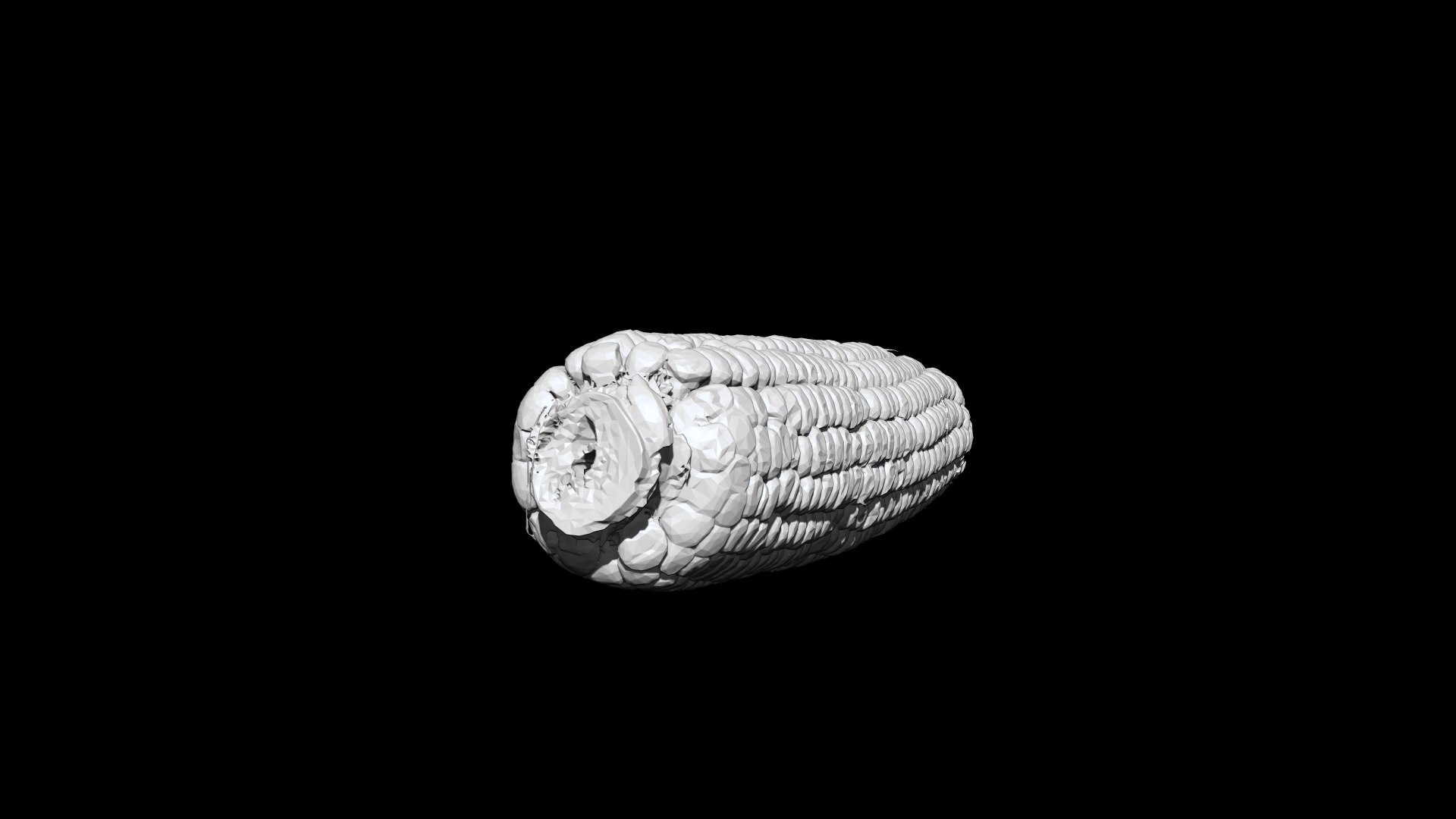 Corn 3D CT scan model decimate 8 percent 3D model - TurboSquid 1945196