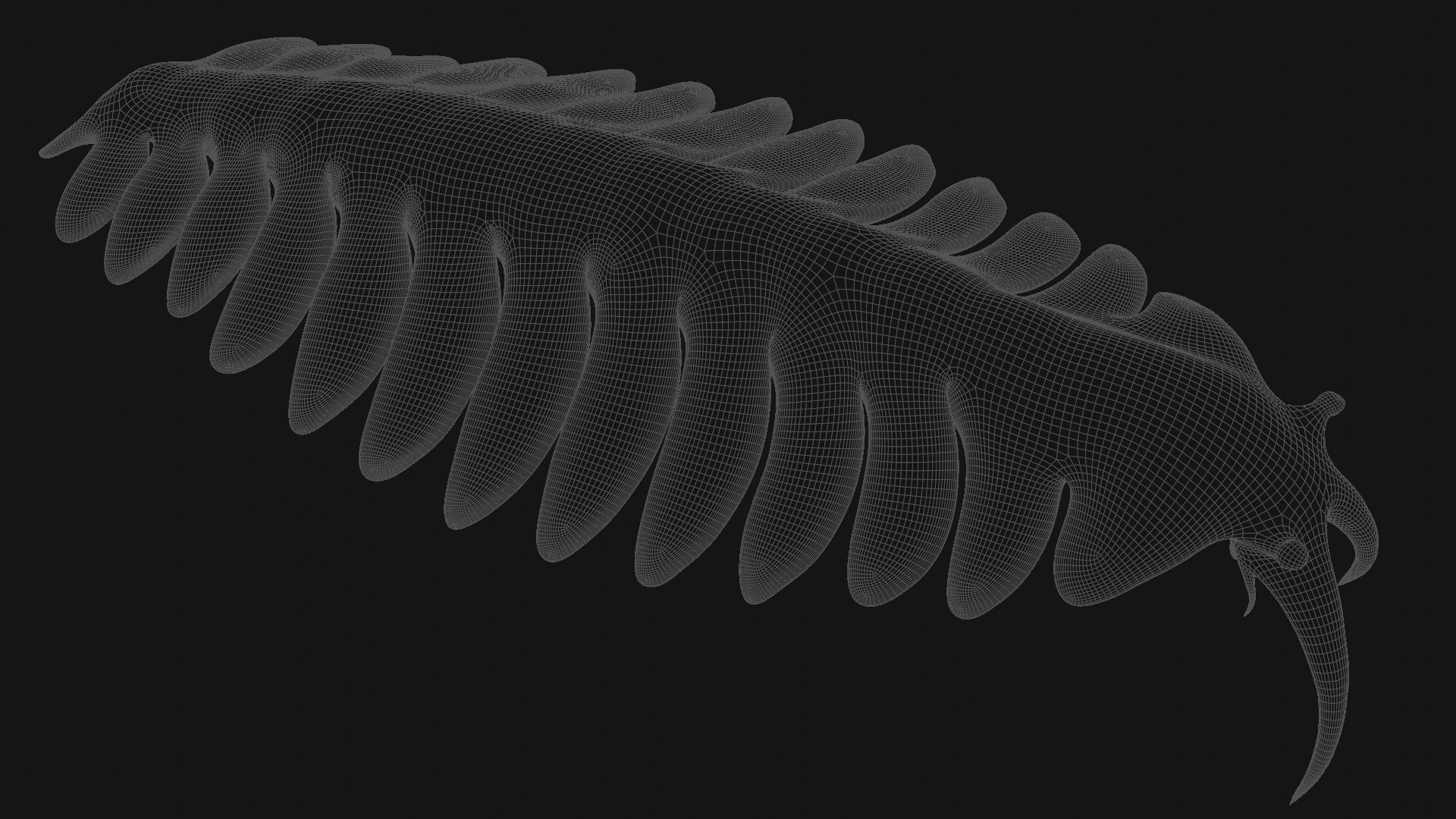 3D Trilobite - TurboSquid 1783071