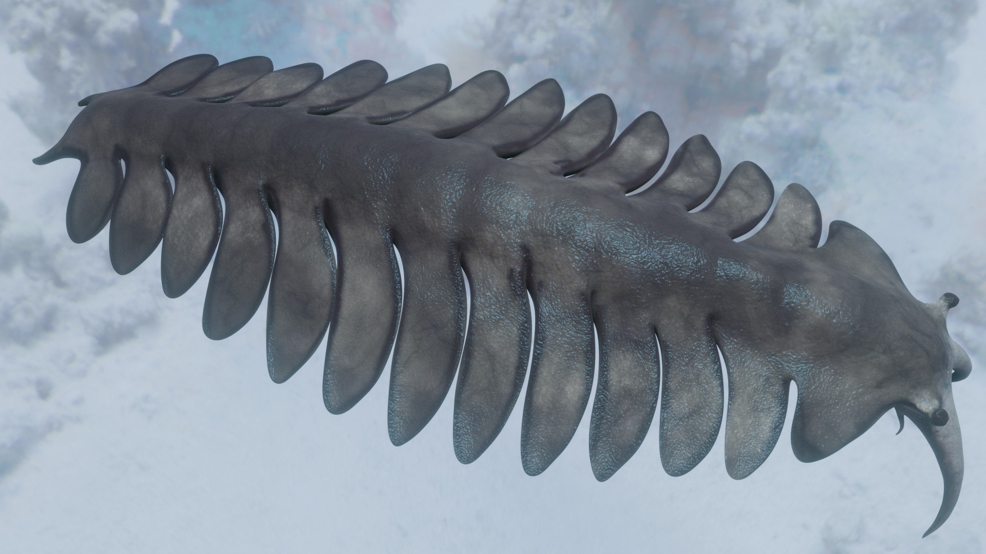 3D Trilobite - TurboSquid 1783071