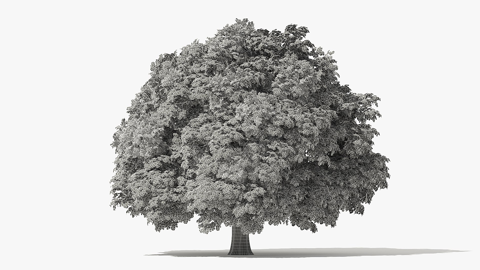 Rock Elm Tree 6 3D - TurboSquid 1464503