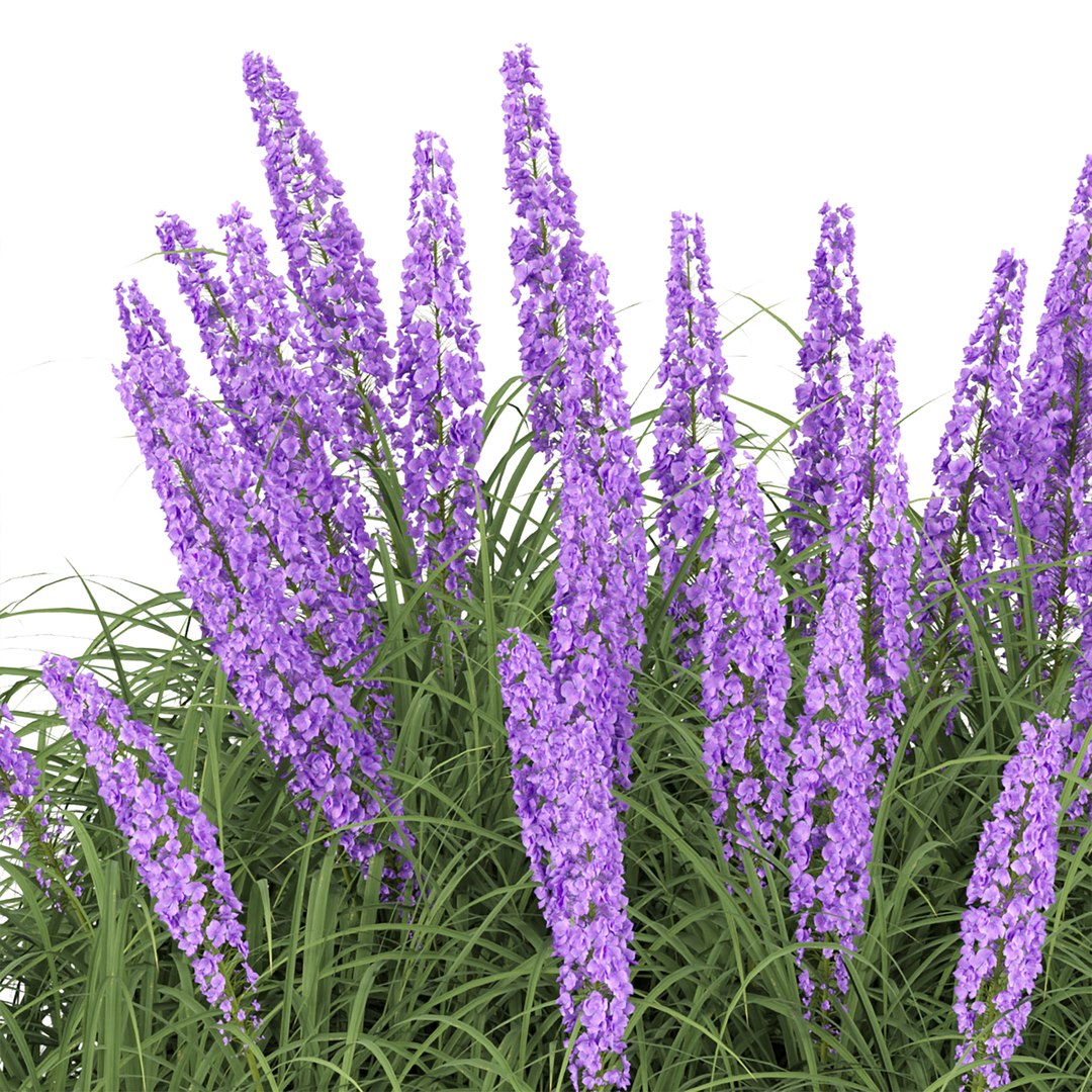 3D Flowering Bushes Vol 31 Model - TurboSquid 1949310