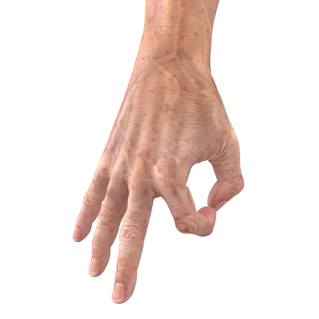 old man hands 3 3d model