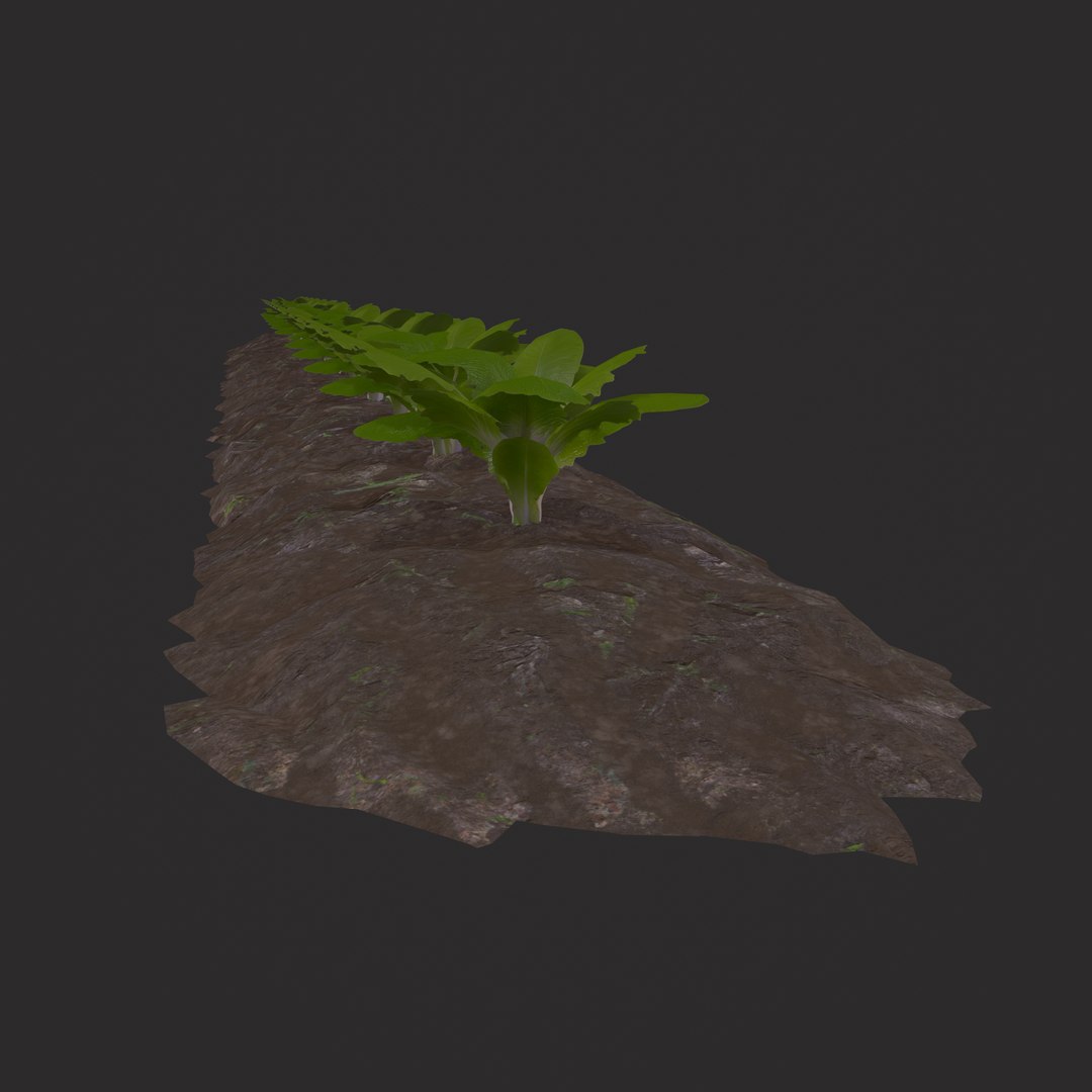 3D Farmers Crops Lettuce - TurboSquid 1842743