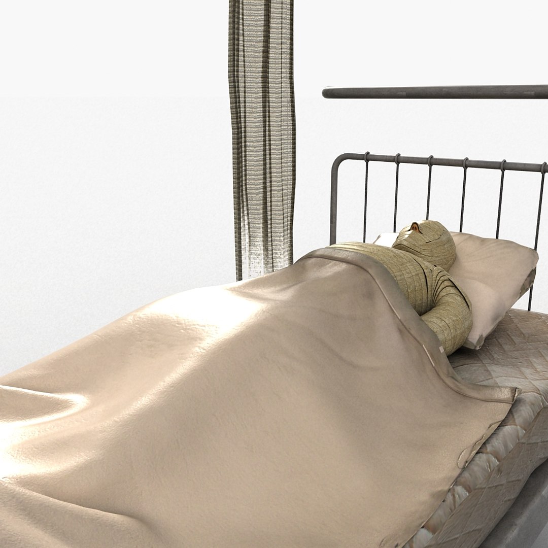 3d Hospital Patient Model