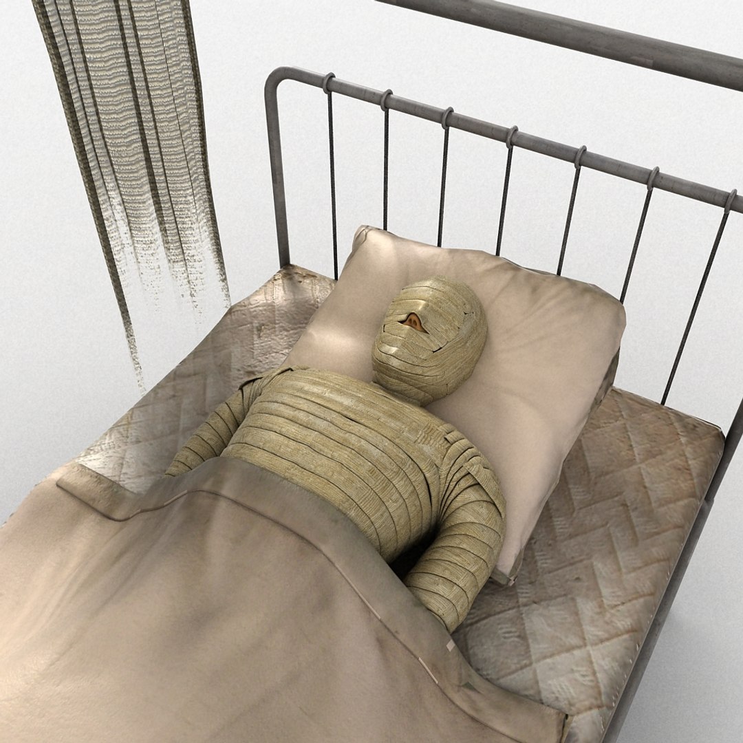 3d Hospital Patient Model