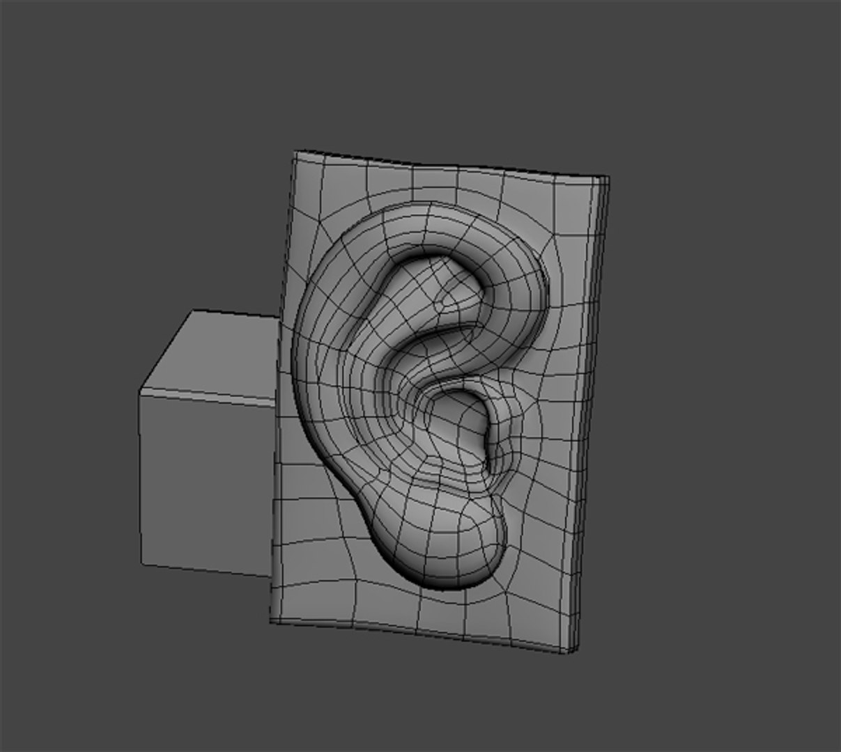 ear 3d model